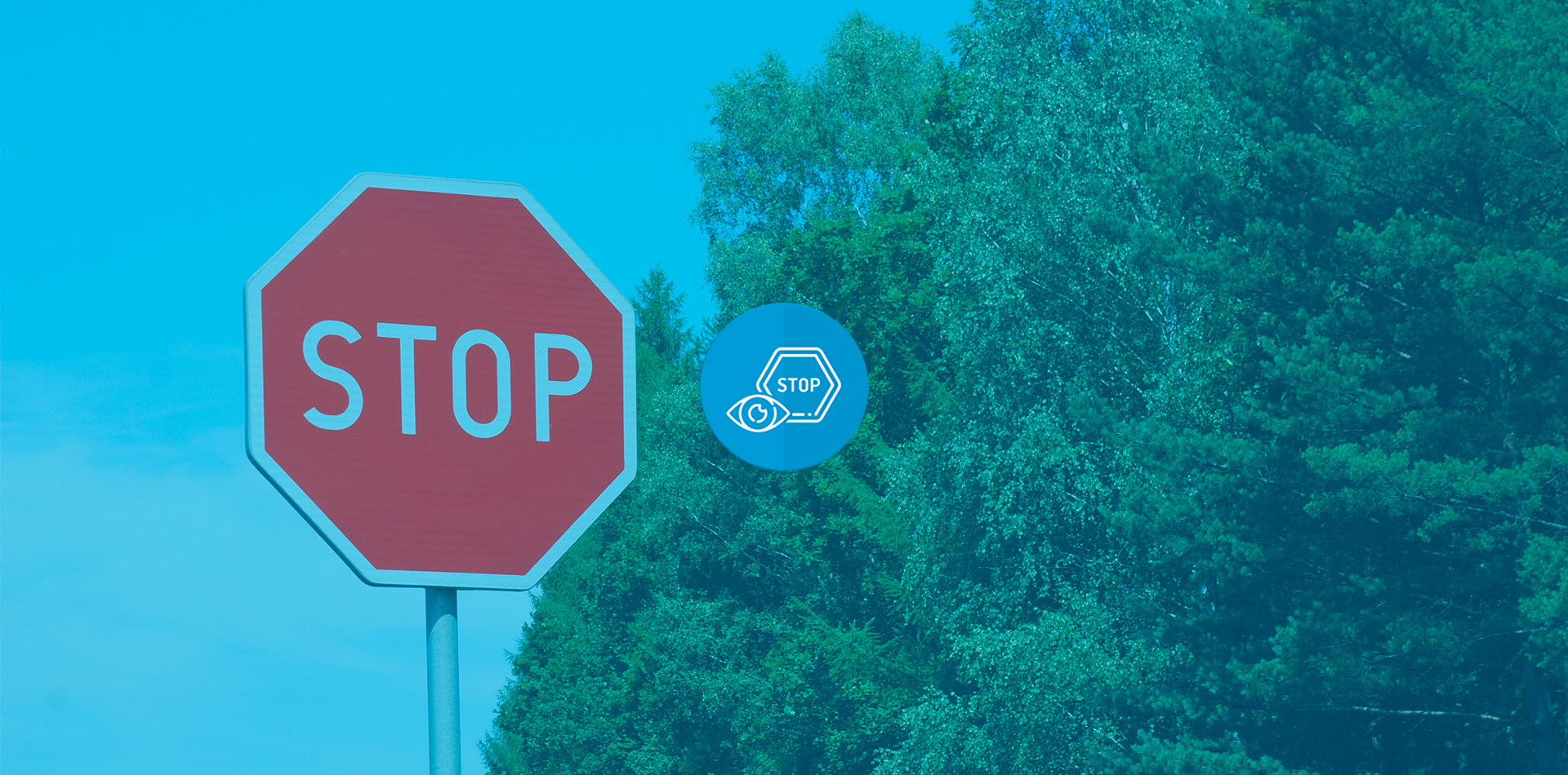 Software de Detección Foto Stop